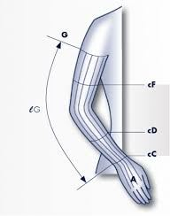 SIGVARIS Measuring Information | Western Medical